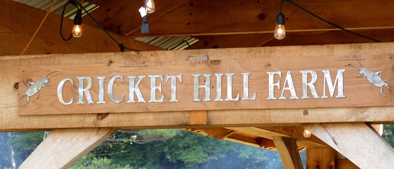 Dublin Gas Engine Show